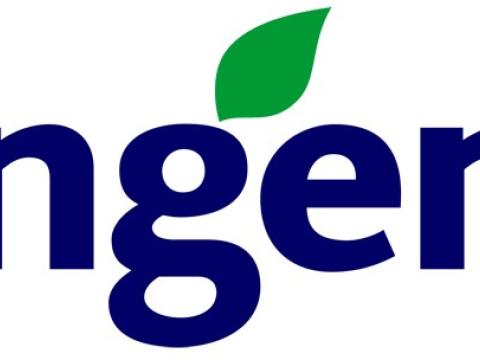 Syngenta lança ARVATICO®, fungicida e nematicida microbiológico para ...