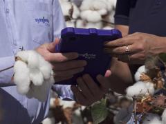 Syngenta anuncia parceria comercial junto à Olfar Agro, do Grupo Olfar ...