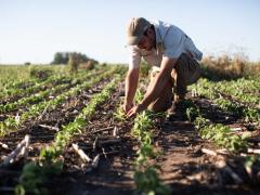 Syngenta Digital apresenta Cropwise Operations no Brasil para fechar ...