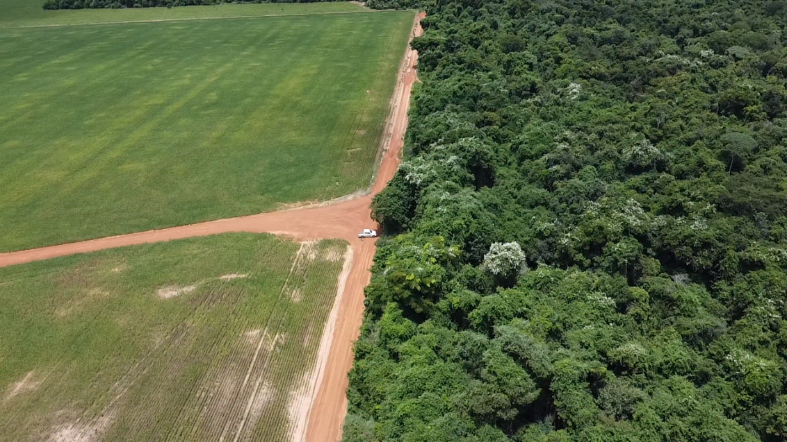 REVERTE® | Syngenta